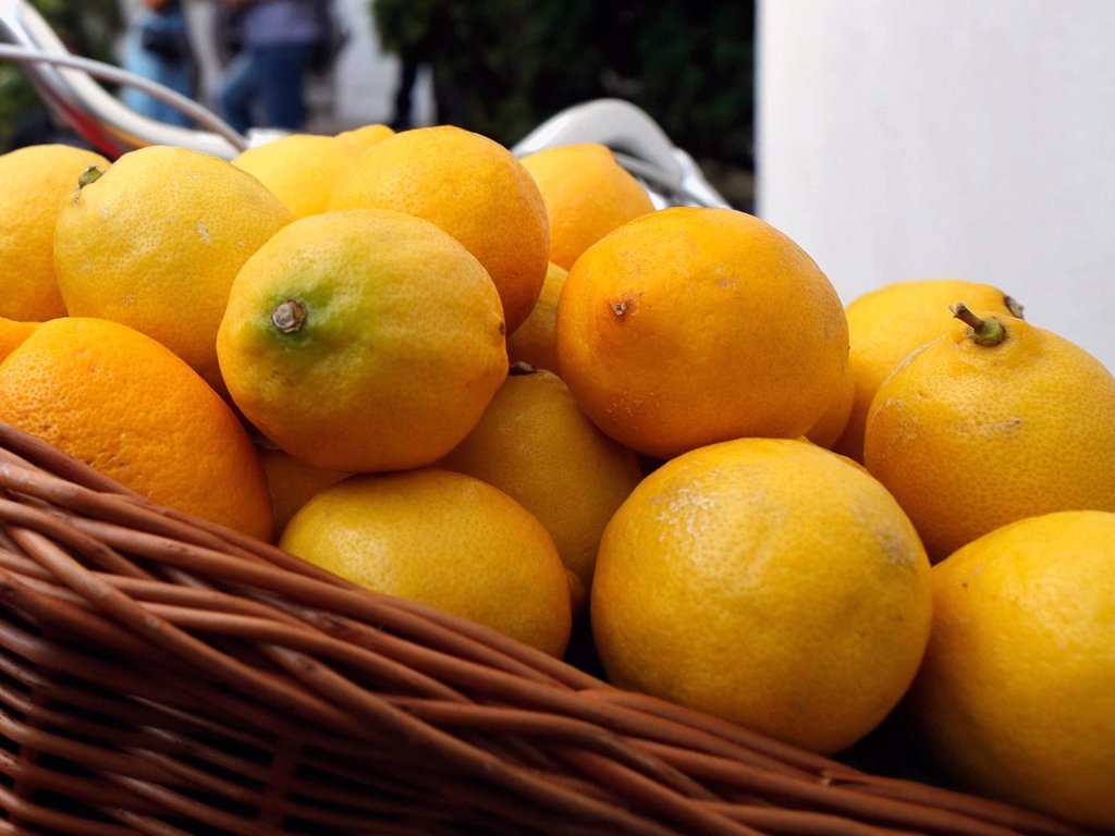 ¿Por qué el limón es el cítrico de la temporada? Te lo descubrimos