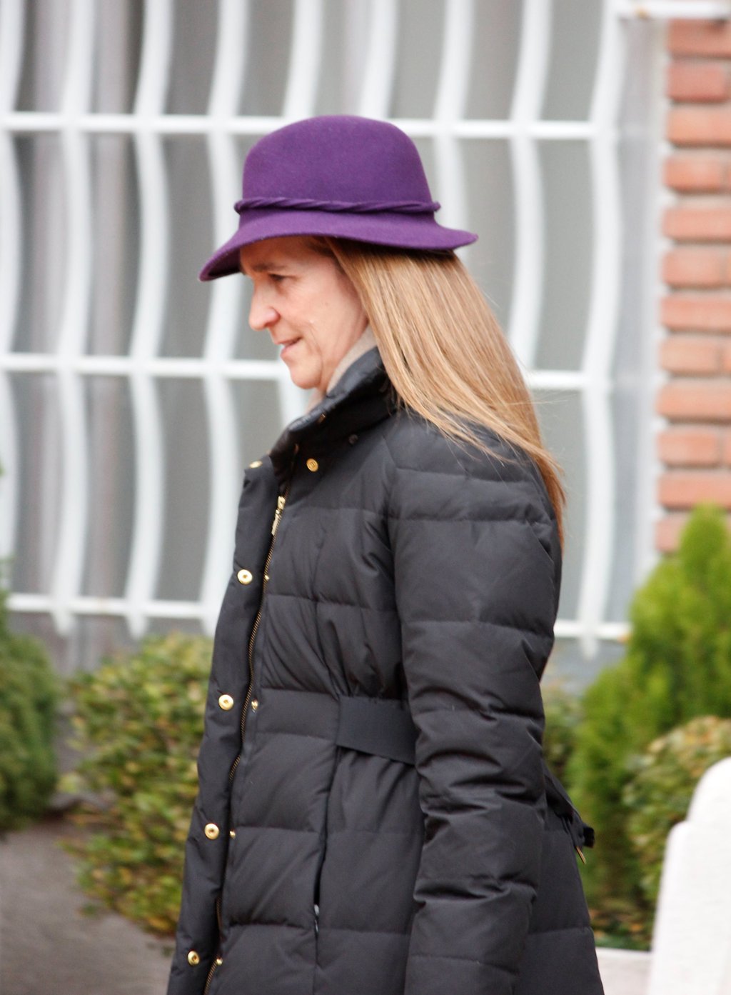 La Infanta Elena visita al Rey