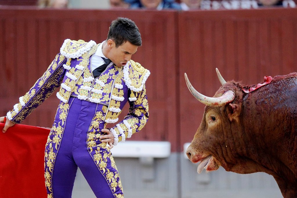 Los amantes de los toros se reúnen para disfrutar de un cartel de lujo