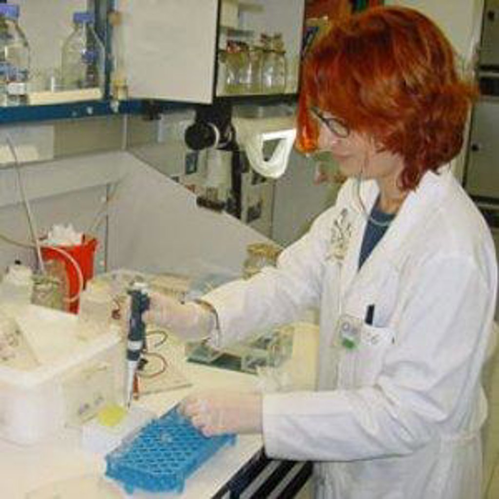 Identifican el mecanismo molecular que subyace a los efectos de los ...