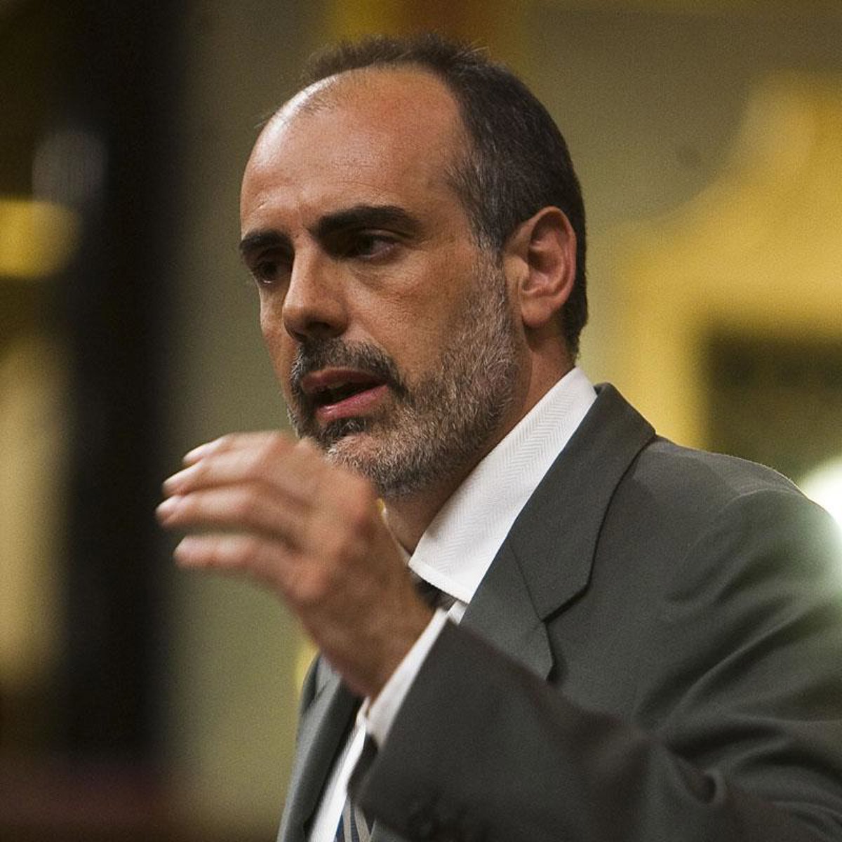 Ridao cree que el actual TC debería estar "inhabilitado" para decidir