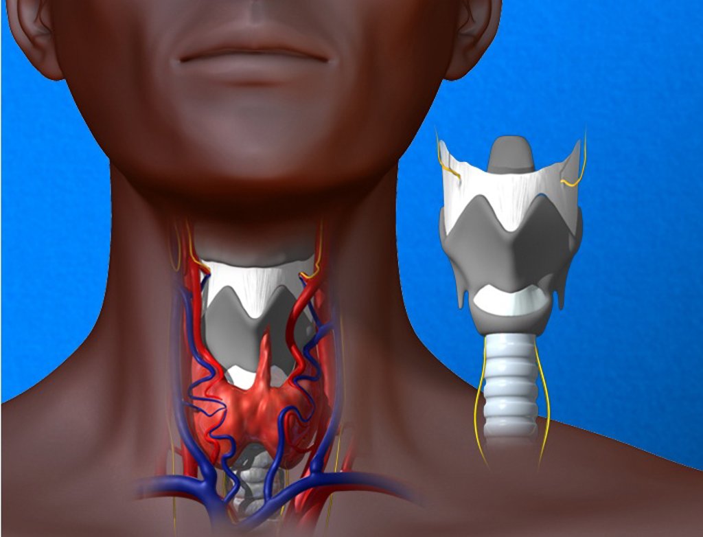 EE.UU.- Una mujer recupera su voz después de 11 años gracias a un ...