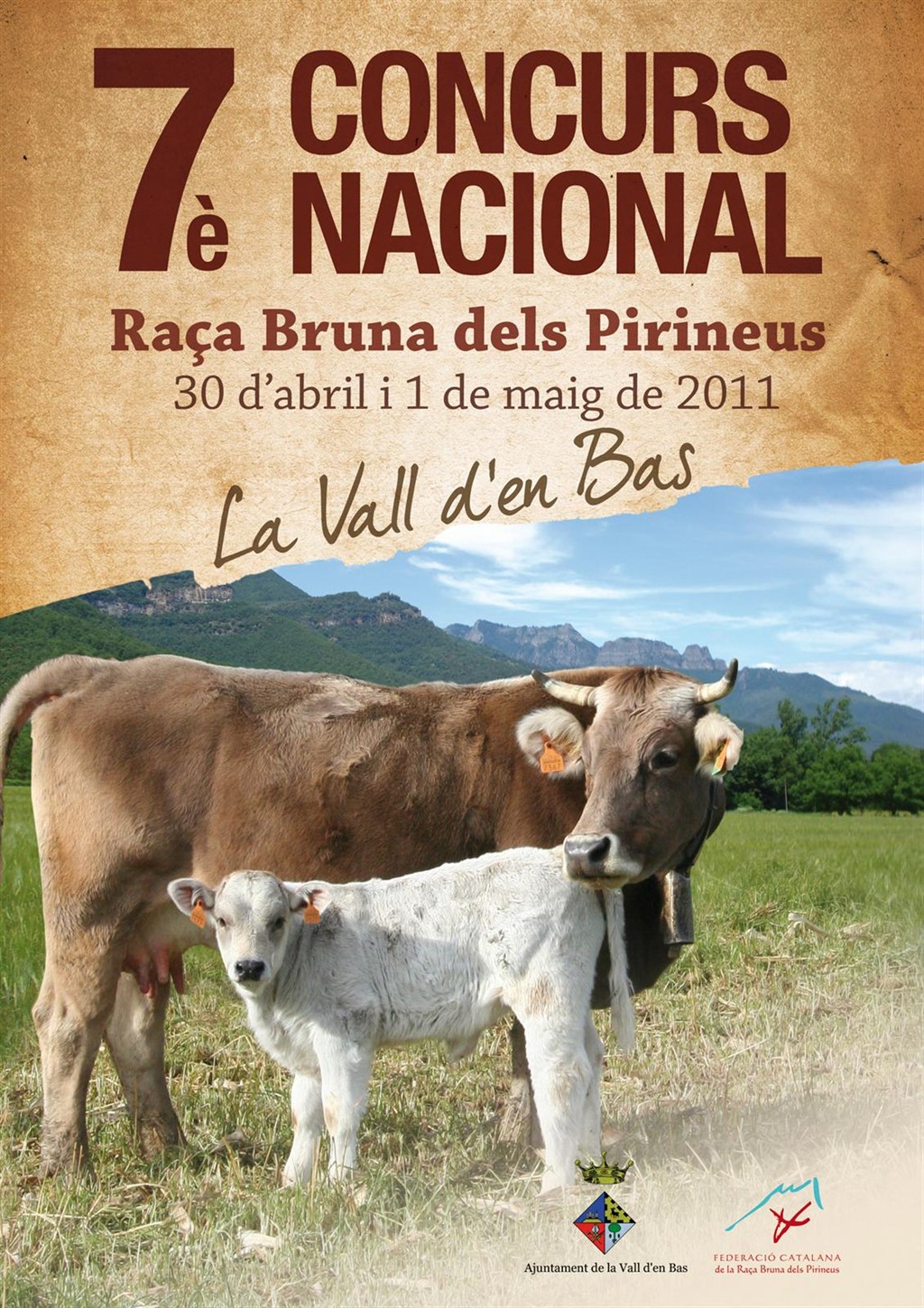 Agro.- Túnez quiere importar la vaca 'bruna' del Pirineo