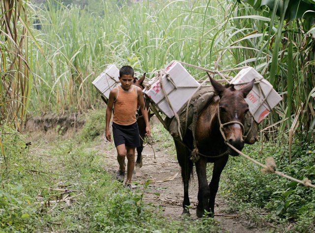 El 80 De Los Desplazados En Colombia Son Mujeres Y Niños