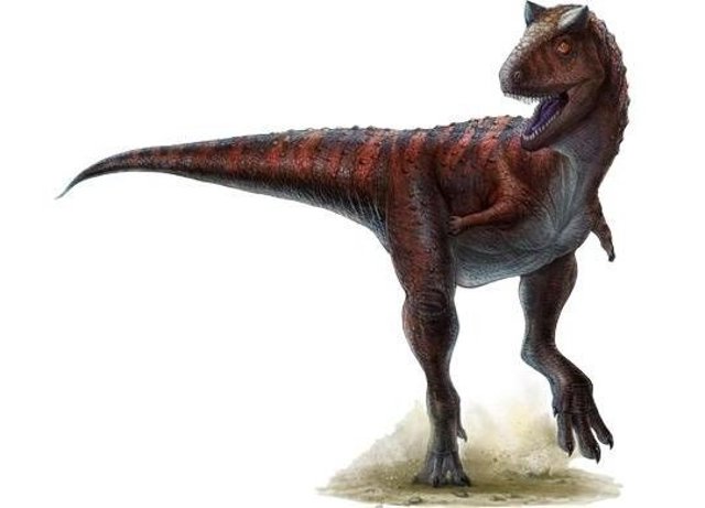 Un supermúsculo hizo del 'dinosaurio toro' un velocista