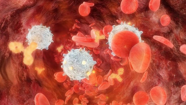 El primer nanomedicamento que trata el cáncer en humanos