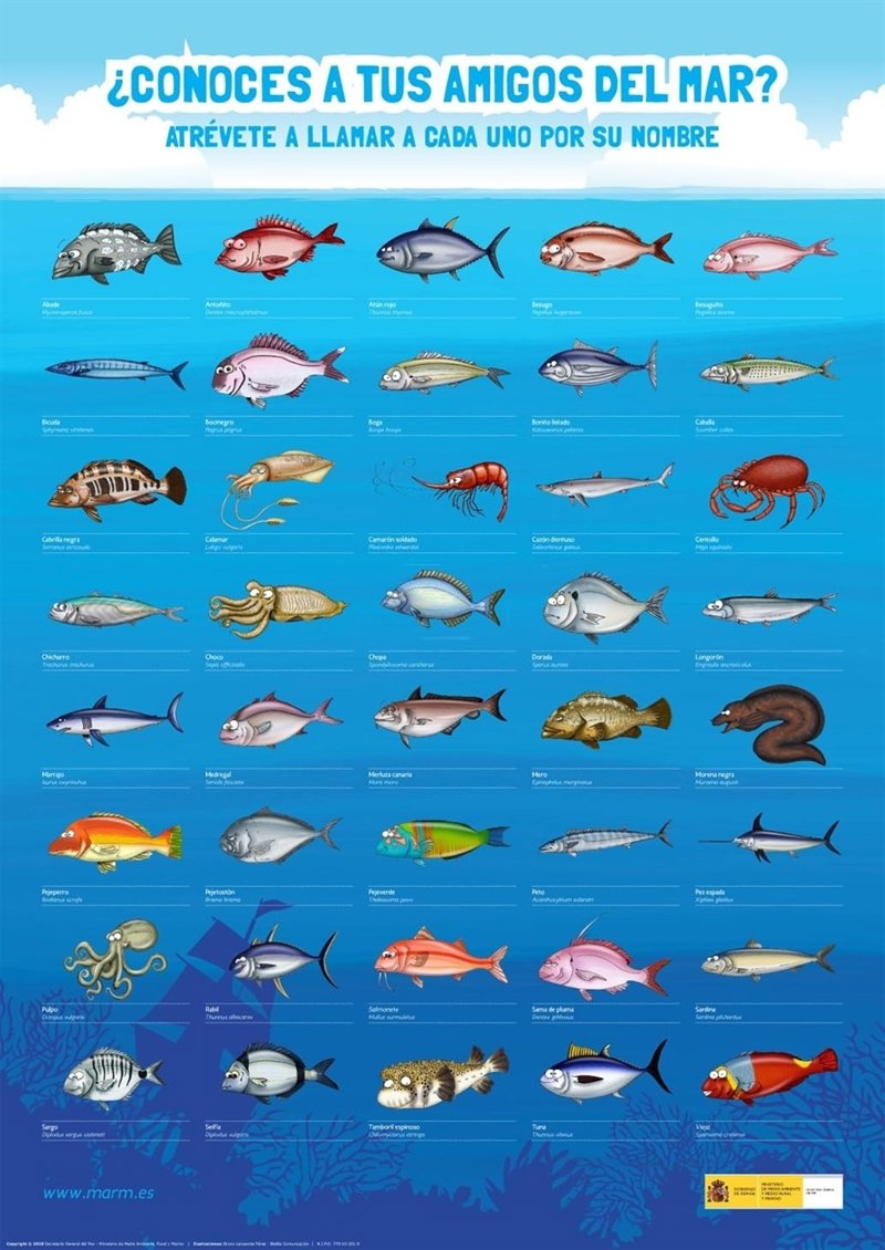 Diez recursos didácticos enseñan a los escolares a conocer la pesca y ...