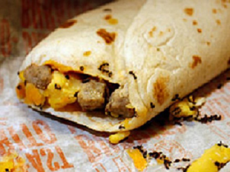 10 desagradables objetos encontrados en comida de Mc Donald's