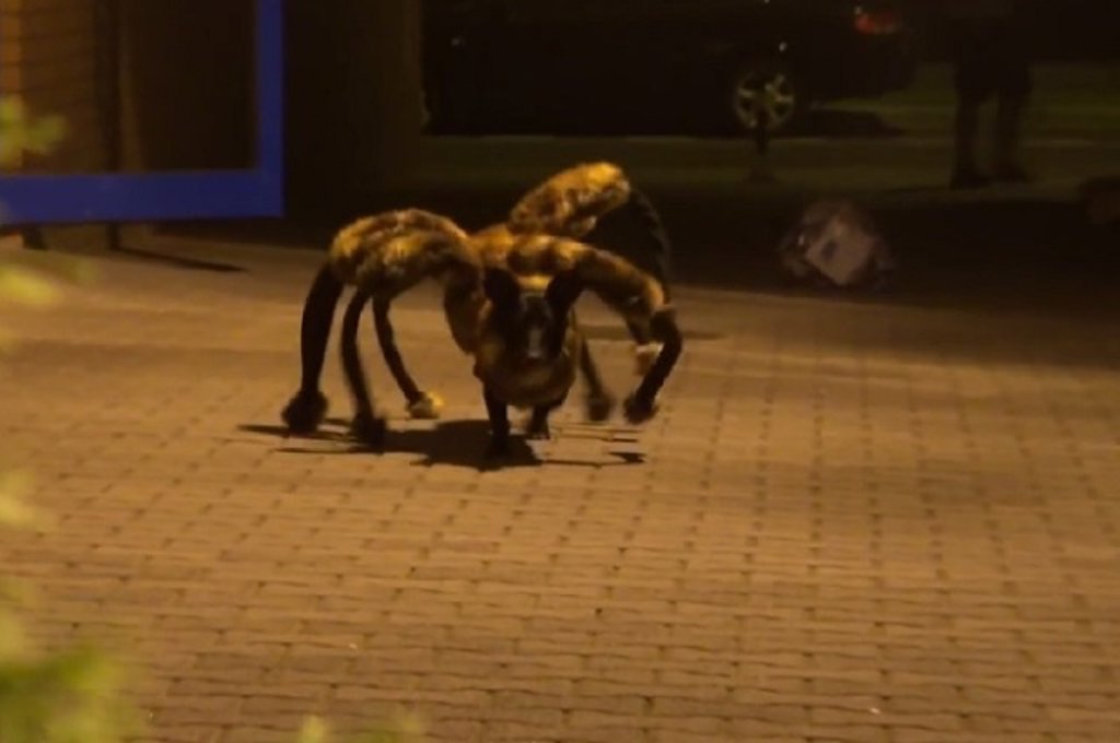 La broma del perro-araña mutante se hace viral en Youtube