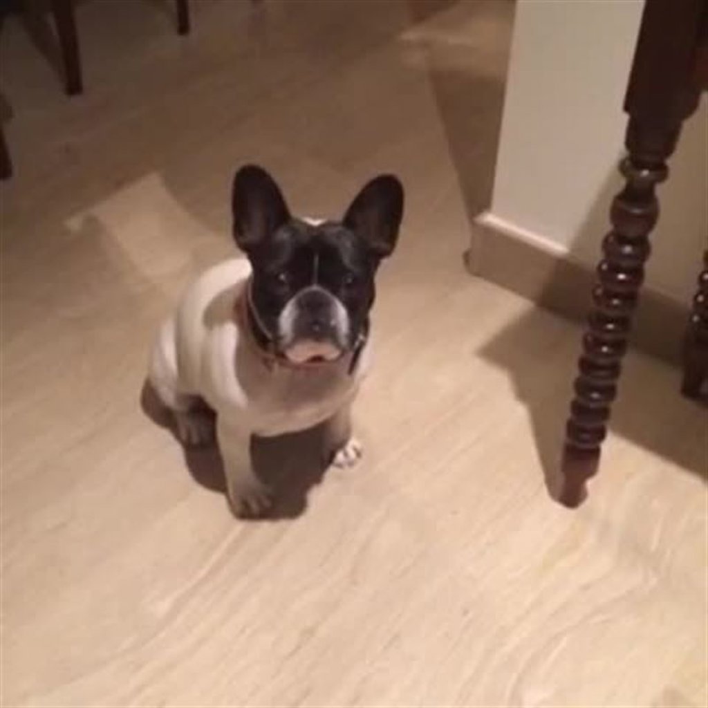 TOP 10 noticias: El Chavo del Ocho, la ciudad de Pripyat o Benito el ...