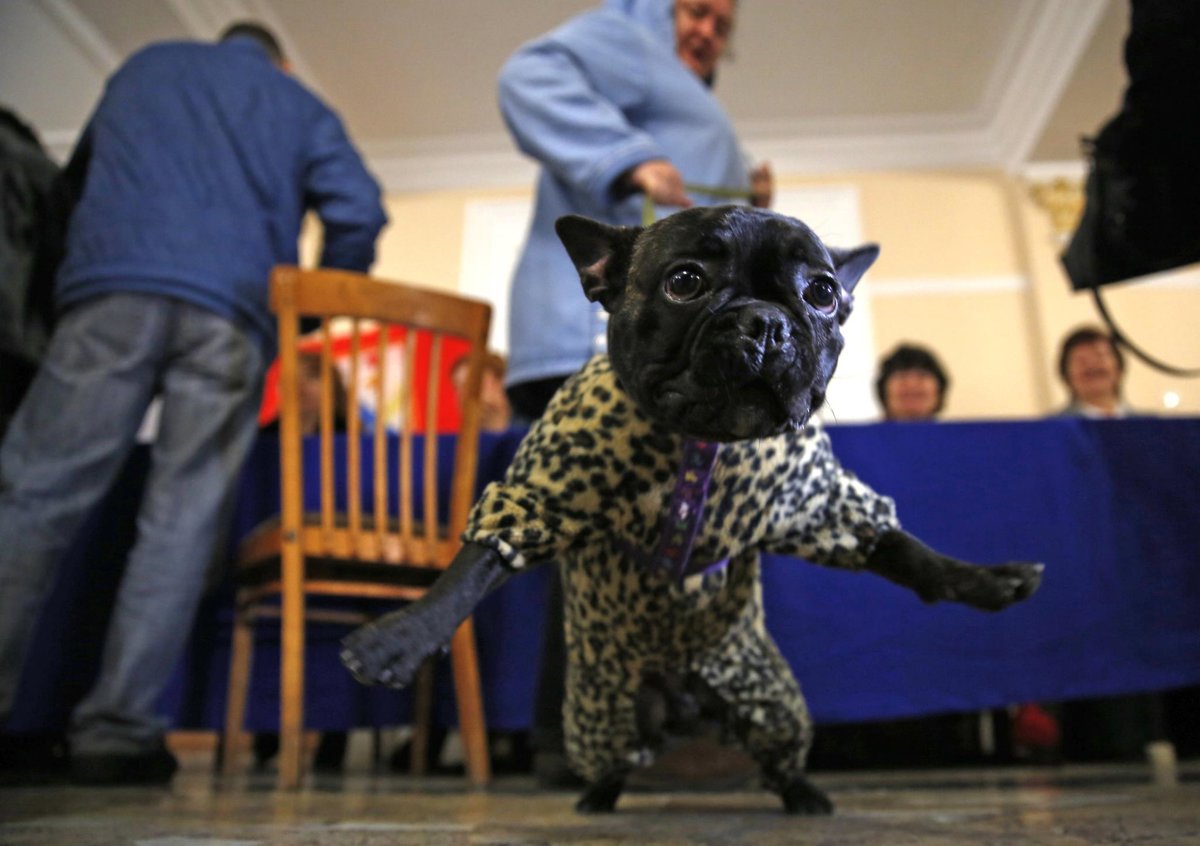 Las fotos más raras y curiosas de 2014