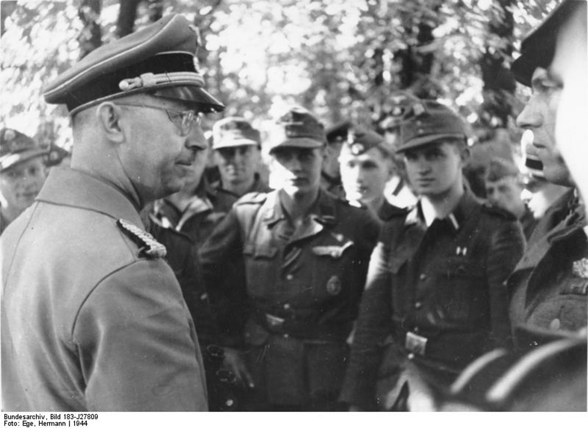 ¿Quién fue Heinrich Himmler?