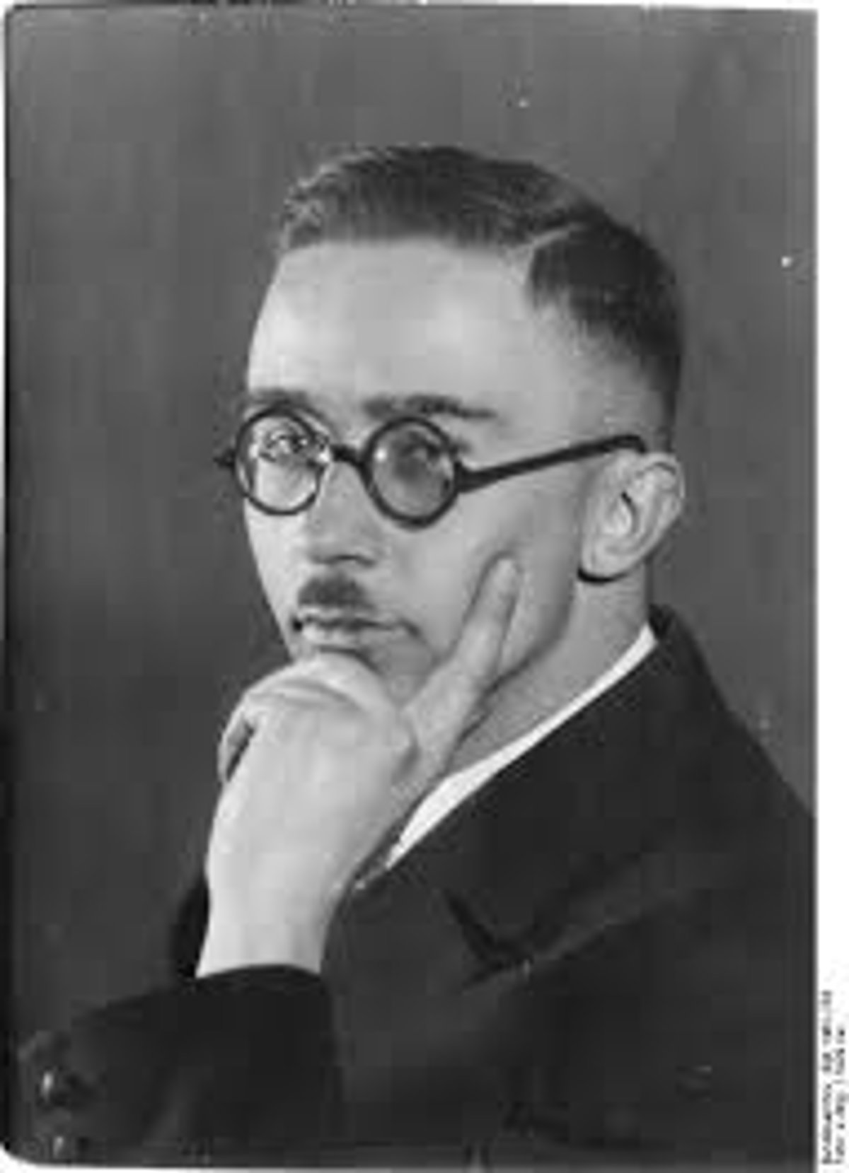 ¿Quién fue Heinrich Himmler?