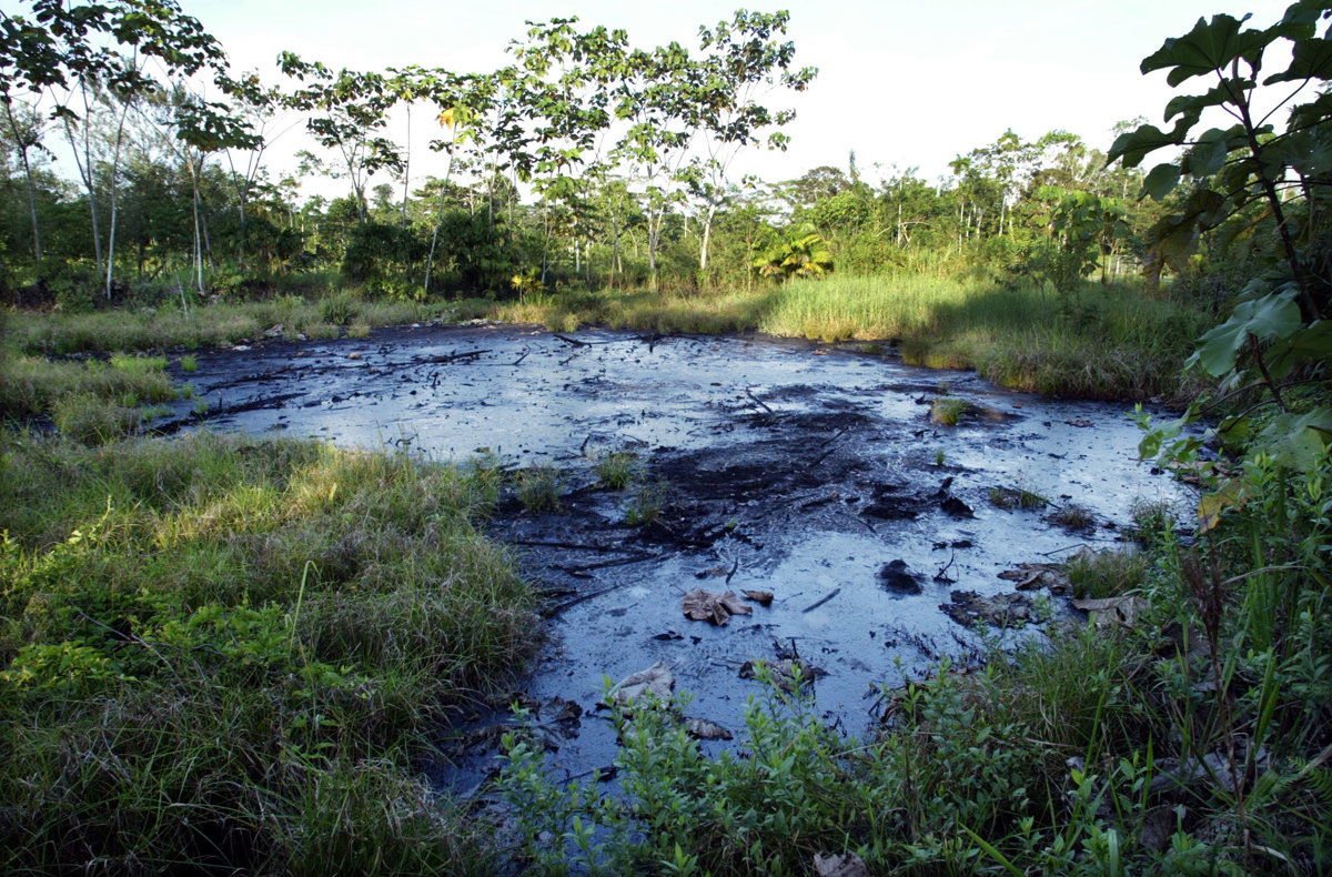 'El show tóxico de Chevron': Un atentado contra el pulmón del mundo
