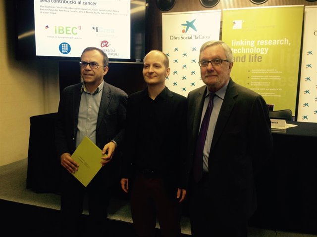 Descubren un mecanismo de comunicación física entre células que ...