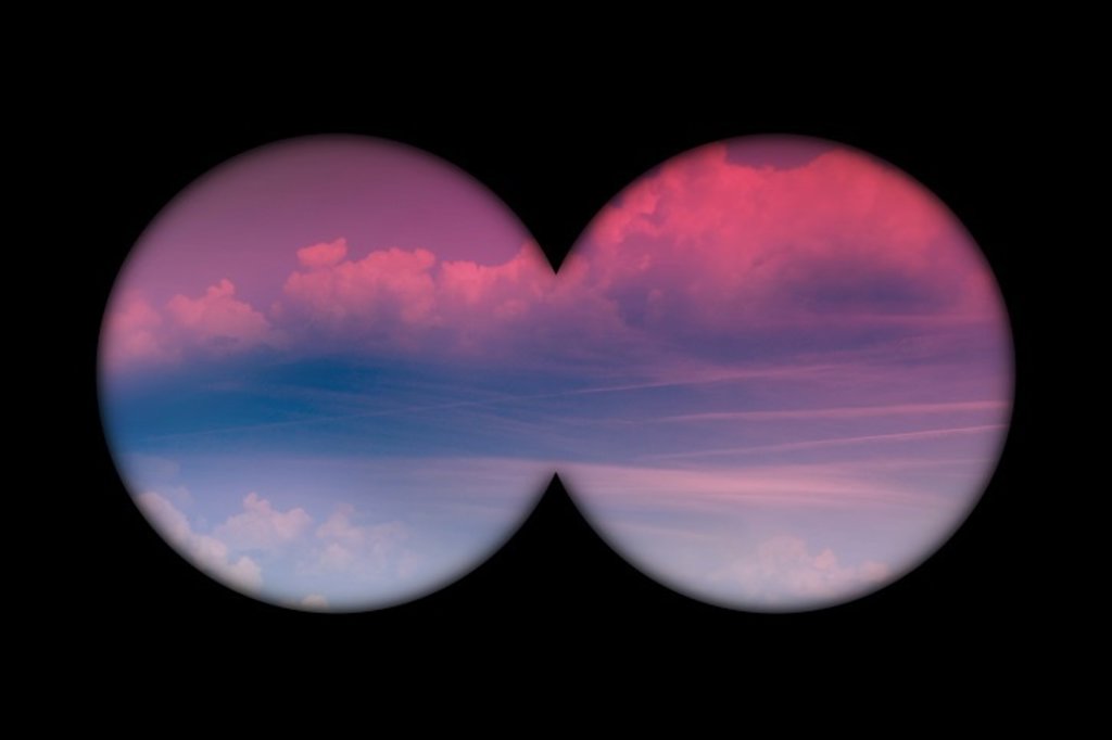  Qu Es La Visi n Binocular 