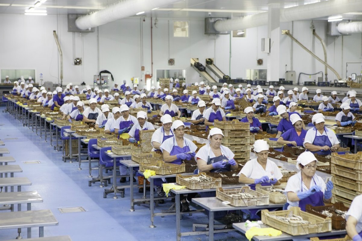 Usisa cifra su producción en 10.000 toneladas y logra una facturación ...