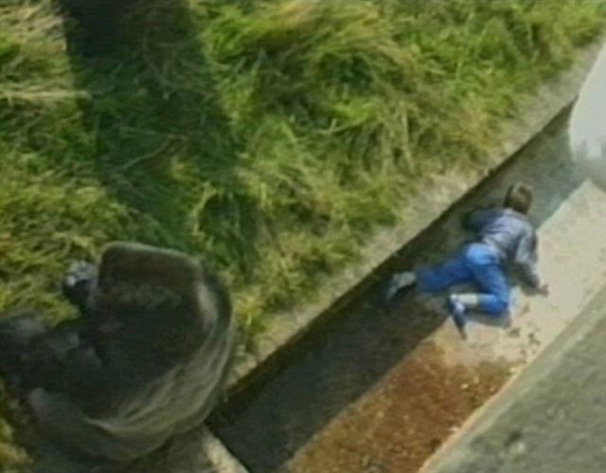 La muerte de Harambe reaviva viejas historias de gorilas que rescataron a niños