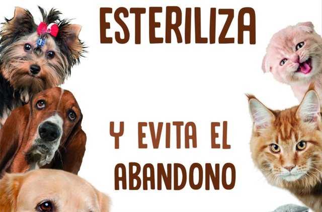 Este Lunes Comienza La Campaña De Esterilización Subvencionada De