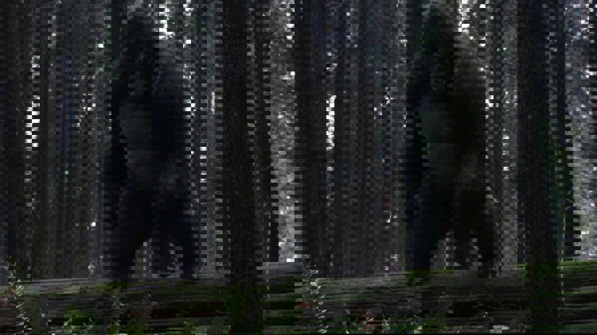 The Flash: Primeras imágenes de Solovar, el salvaje líder de Gorilla City