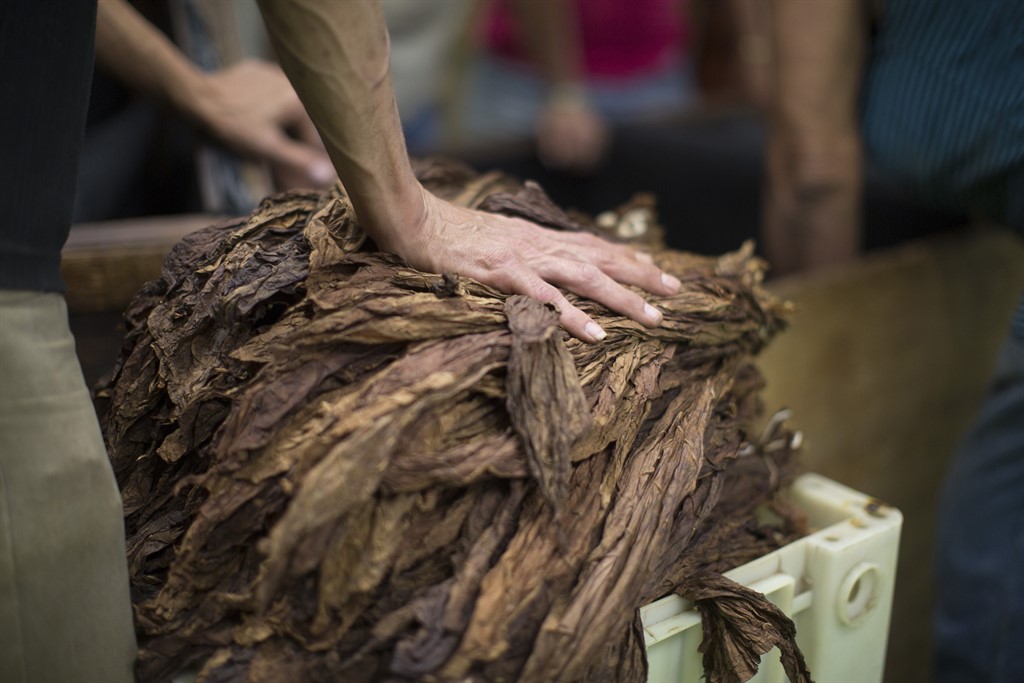 ¿Existe el habano perfecto?