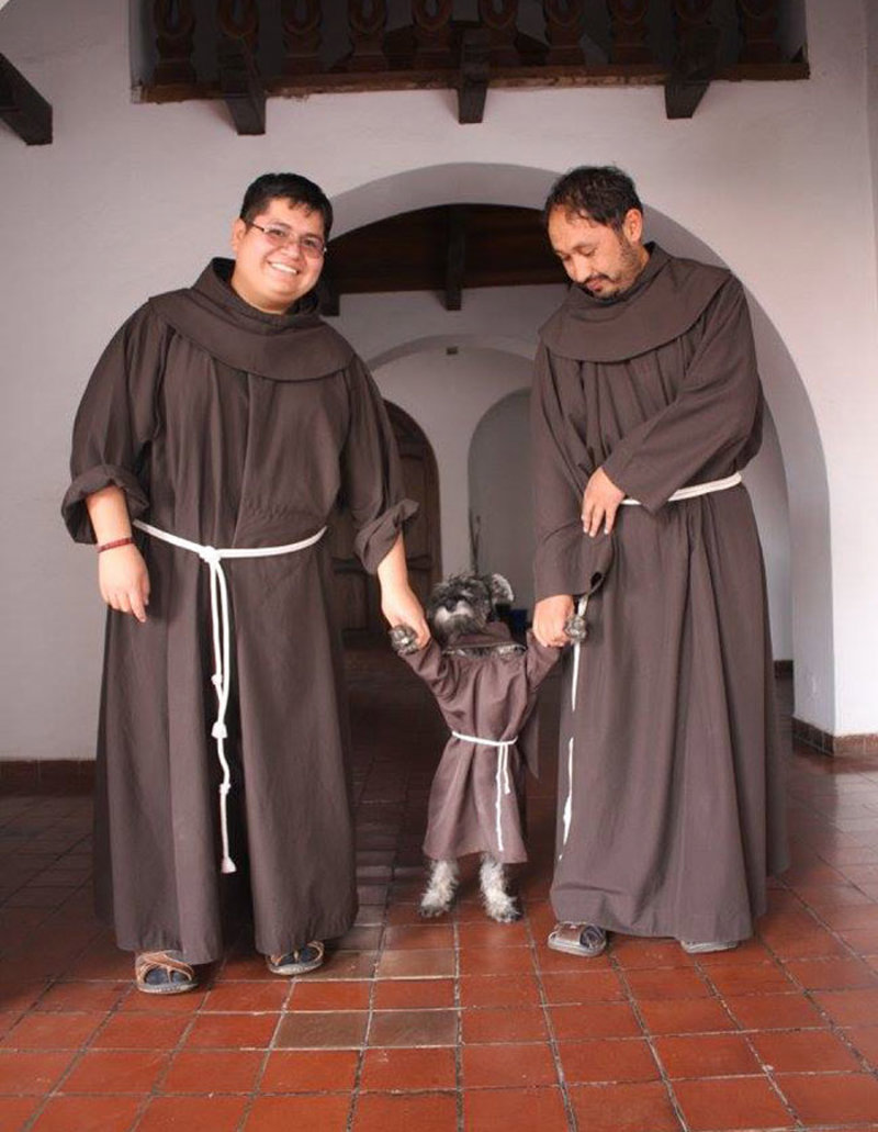 La historia de Fray Bigotón, el perro callejero que se convirtió en ...