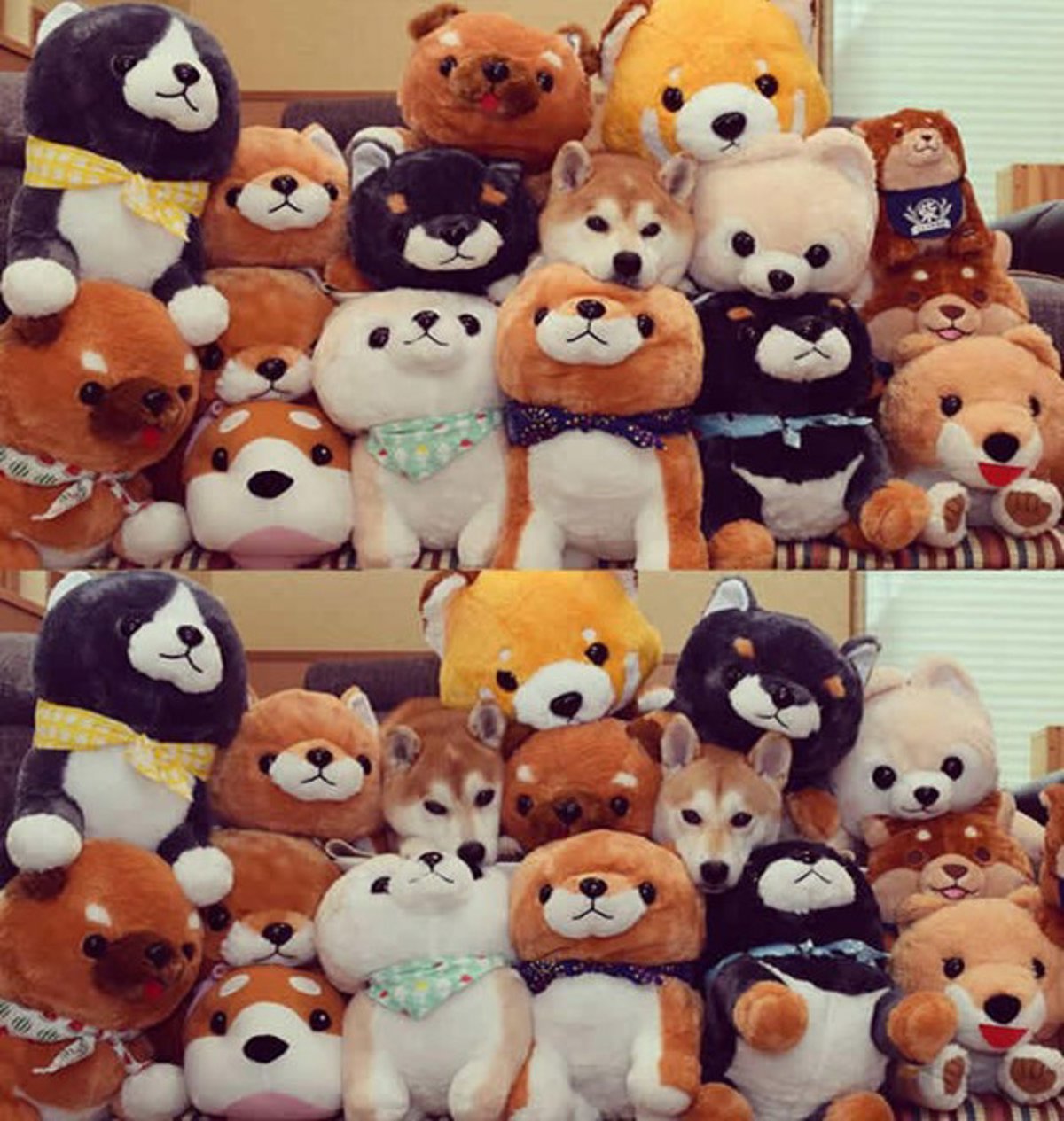 Estas son Nonta y Kenta y te retamos a encontrarlas en esta serie de ...