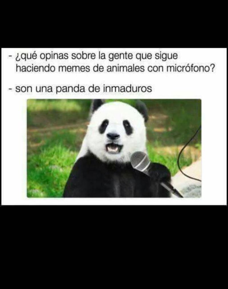 ¡La que ha liado el ciervo! | Recopilatorio de los mejores memes de ...