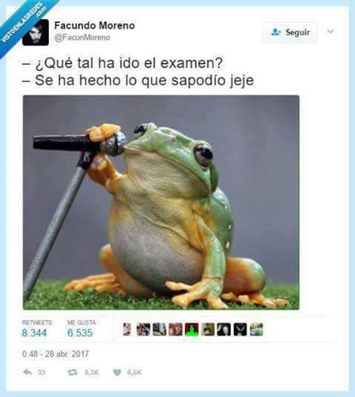 ¡La que ha liado el ciervo! | Recopilatorio de los mejores memes de ...