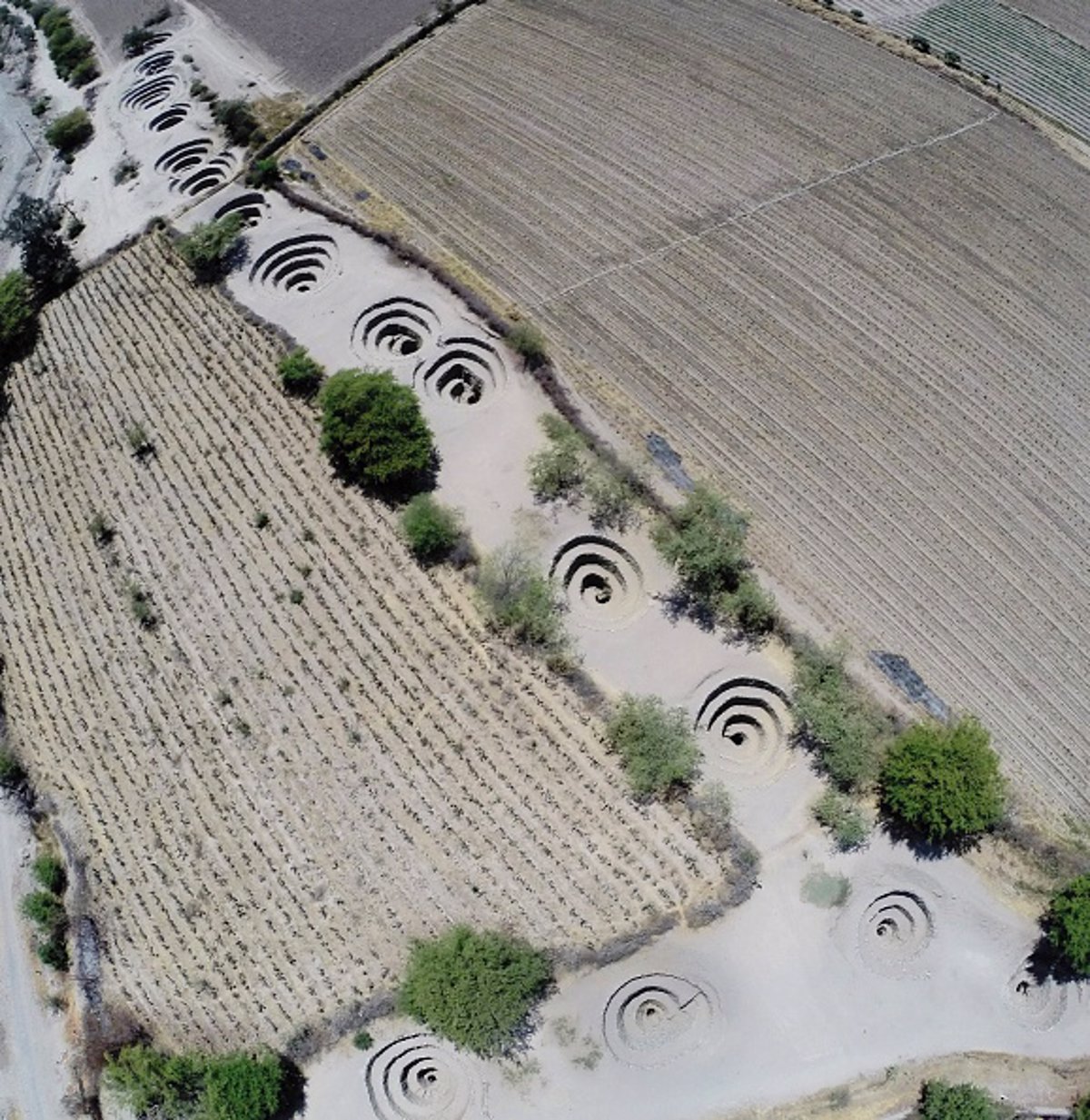 ¿cuál Es El Verdadero Origen De Las Líneas De Nazca En Perú