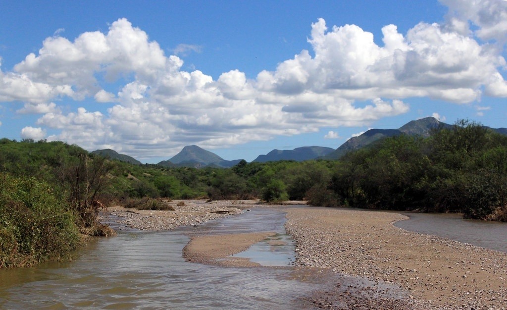 El derrame tóxico de la minera de Grupo México en el río Sonora ...
