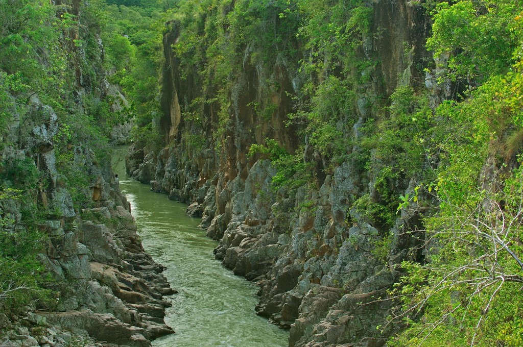 Cinco motivos por los que todo amante de la naturaleza debería visitar ...