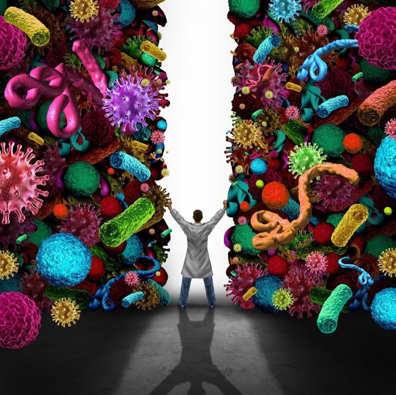 Vivimos rodeados de microorganismos: ¿Cómo velan por nuestra salud?