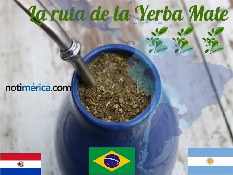 ¿Conoces la Ruta de la Yerba Mate?