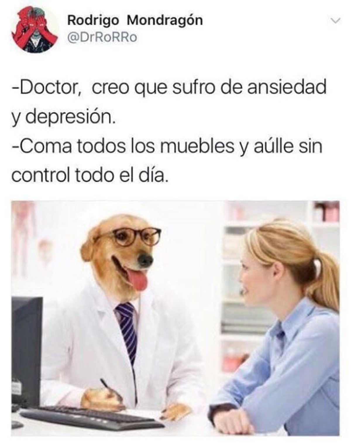 El meme del perro doctor es la cura que te sacará más de una sonrisa