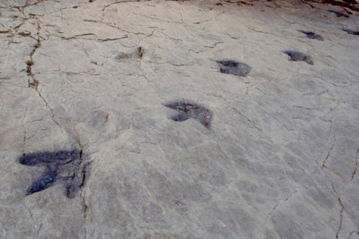 Toro-Toro (Bolivia), el parque jurásico iberoamericano