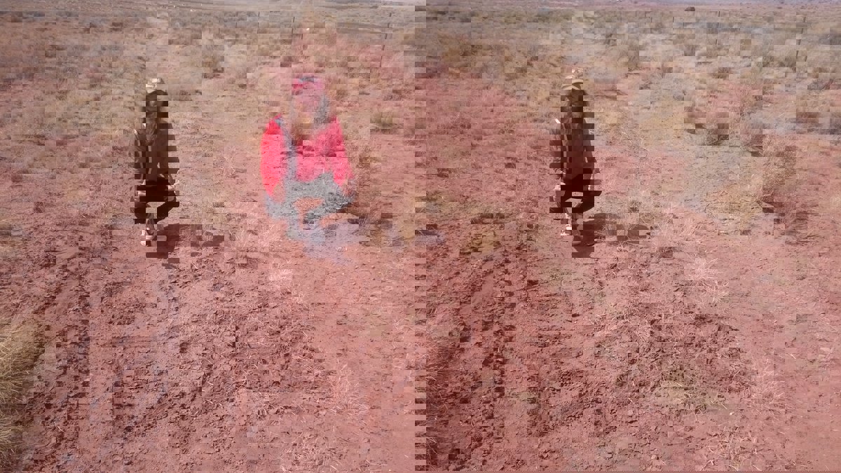 ¡Corre Forrest, corre!: Forrest Gump corrió en el Maratón de Londres y ...