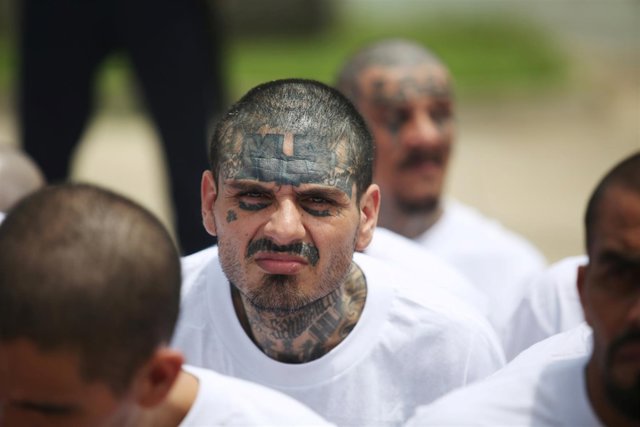 Un tribunal de EEUU condena a tres pandilleros de la MS-13 por su ...