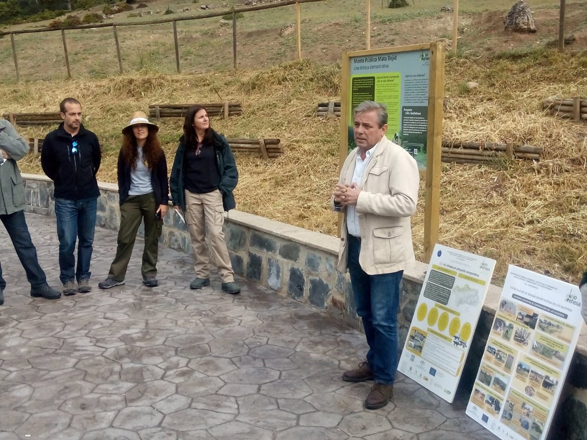 Medio Ambiente da a conocer el proyecto de regeneración natural ...