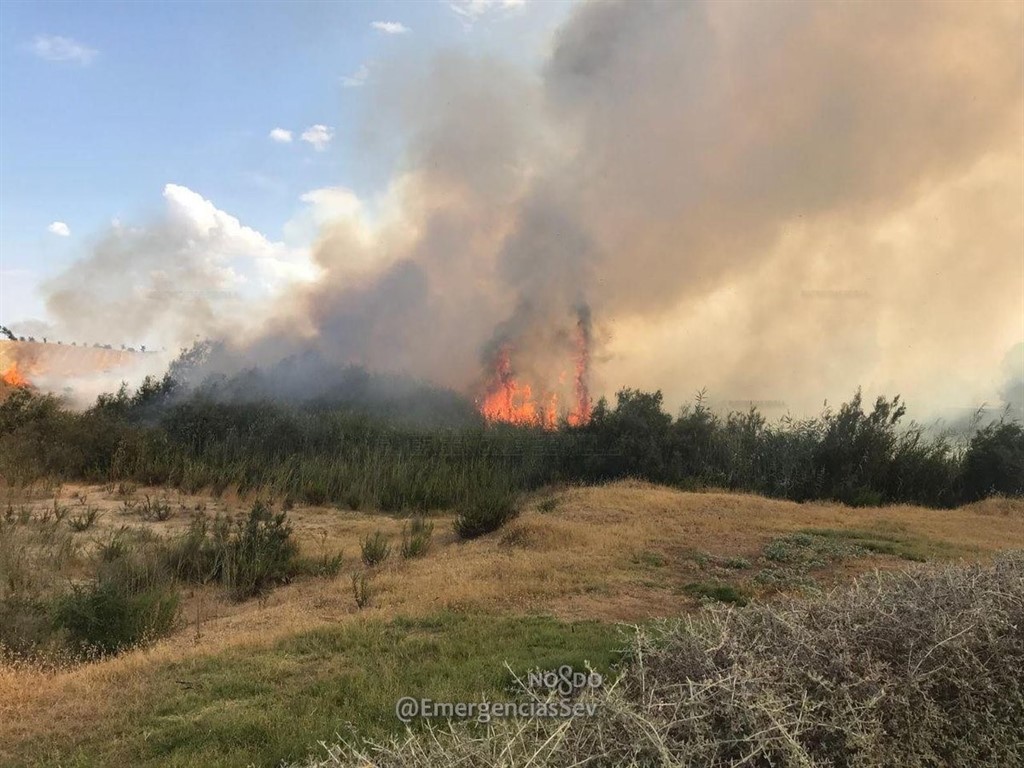 El año 2018 sigue siendo el mejor del decenio por hectáreas quemadas ...