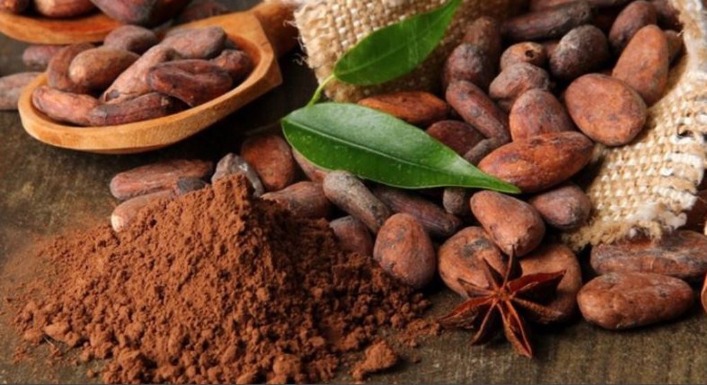 ¿Sabías que México descubrió el chocolate al resto del mundo?