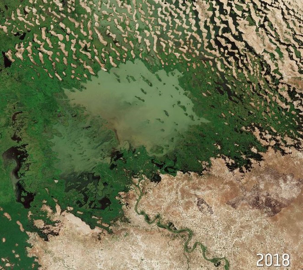 El Lago Chad está siendo devorado por el Sáhara
