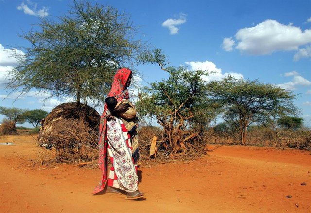 Los kenianos piden a las autoridades que no esperen a la temporada ...