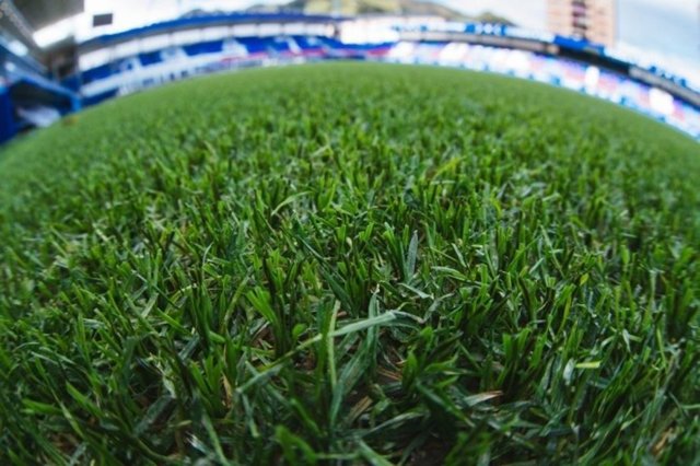 El Barcelona estrenará el nuevo césped híbrido de Ipurua