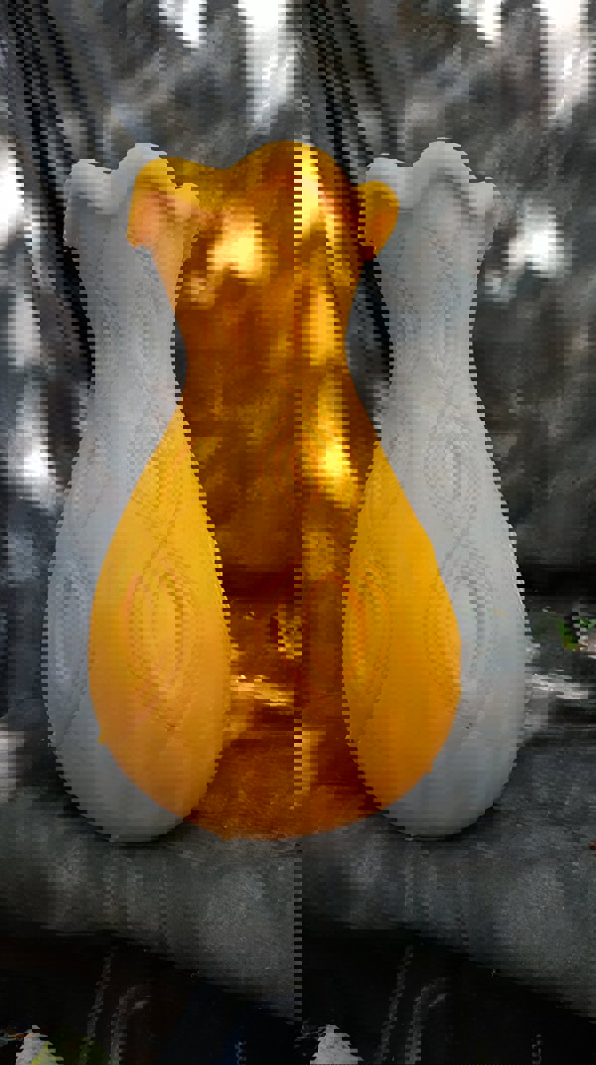 Estas calabazas talladas alternativas a Halloween que son verdaderas ...