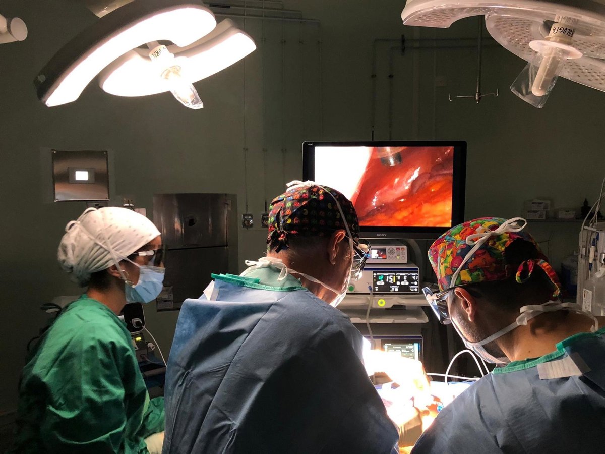 L'Arnau realitza una extirpació de renyó per laparoscpia amb una ...