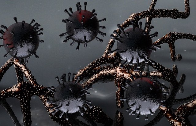 El origen y progresión de la diabetes se ve influida por las ...