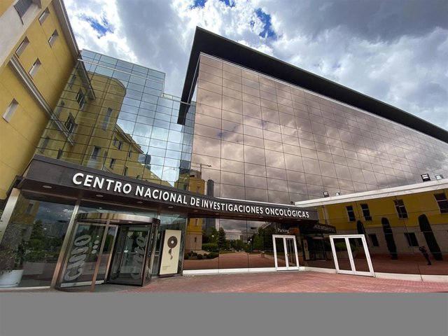 El CNIO lanza siete nuevas becas de investigación contra el cáncer