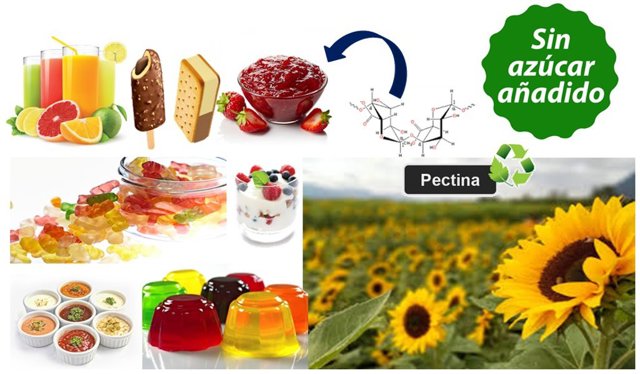 Desarrollan un nuevo ingrediente para la elaboración de productos sin ...