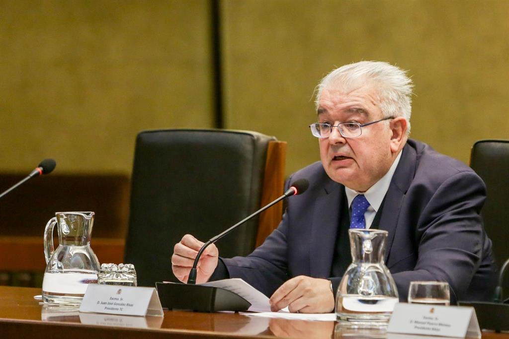 Gonzalez Rivas (TC) defiende que la Constitución ha permitido dar una ...